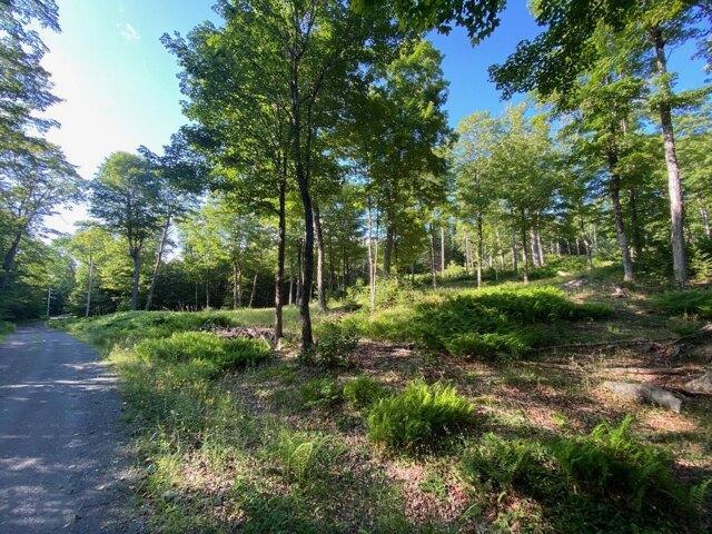 land Greenville ME DLS102446133