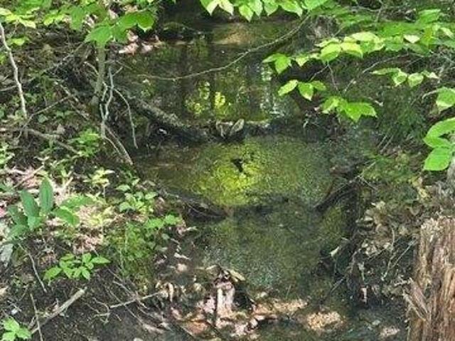 land Greenville ME DS103444415