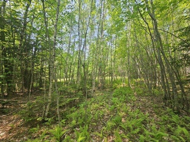 land Hudson ME DS101934607
