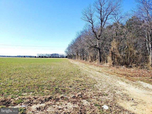 land Hurlock MD DS103599878