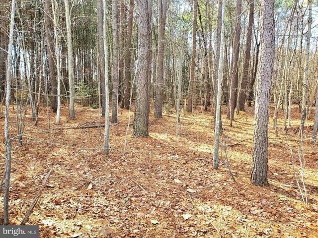 land Hurlock MD ES103599878