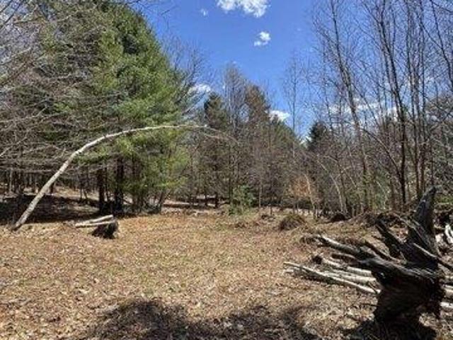 land Hyde Park VT DS102822981