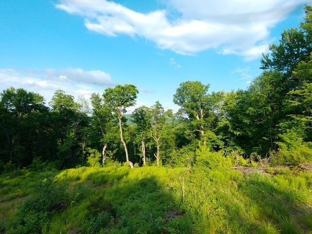 land Hyde Park VT DS103189289