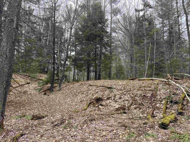 land Hyde Park VT ES104265015