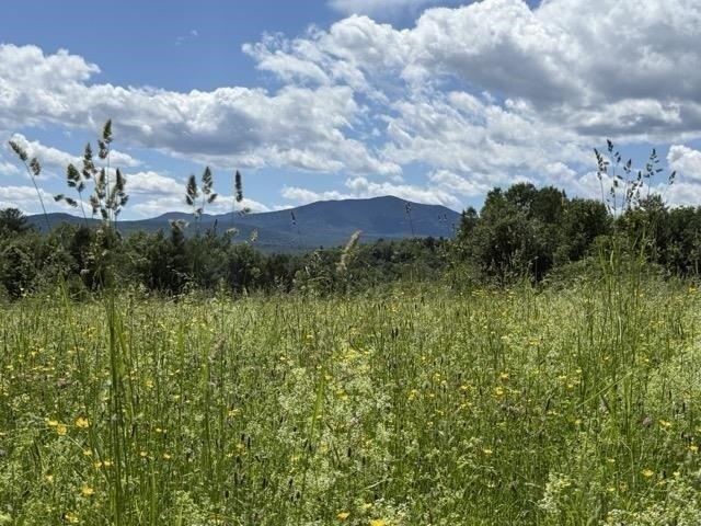 land Hyde Park VT ES105107400