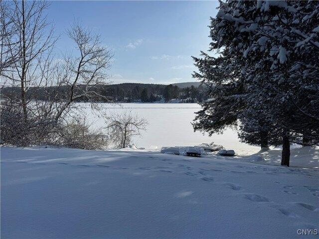 land Hamilton NY ES103600202