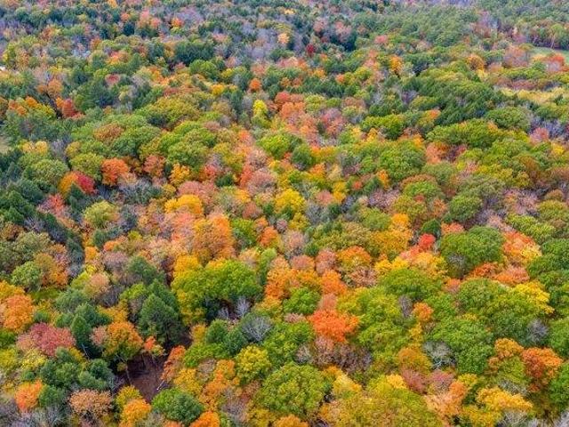 land Hanover NH ES105092713