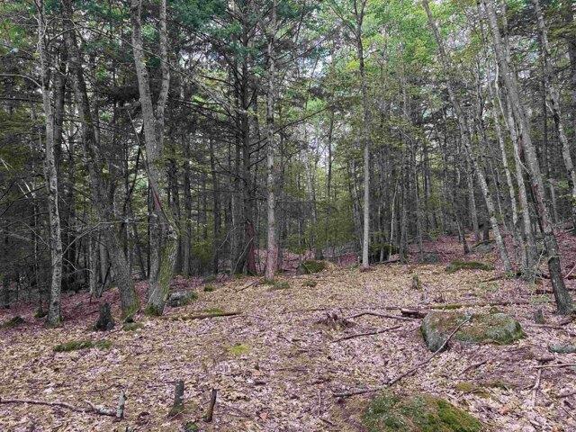 land Hancock NH ES104790471