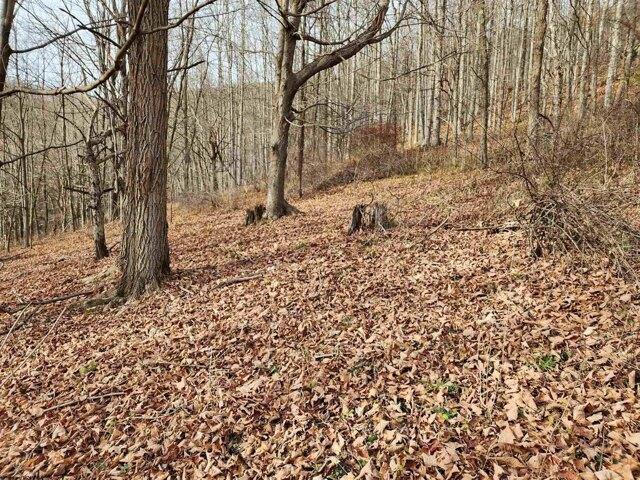 land Harman WV DS88585769