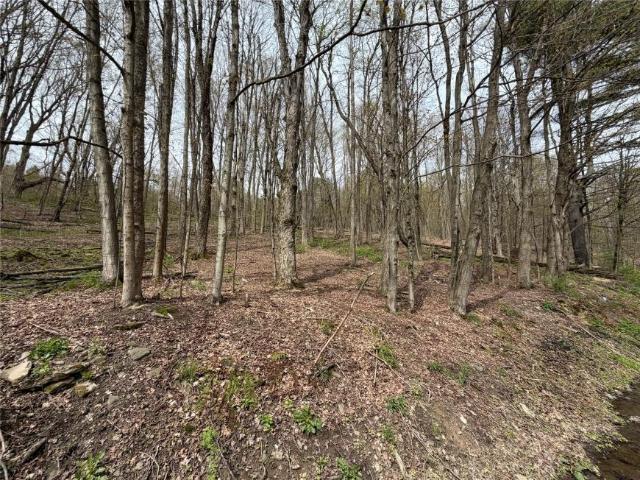 land Harpursville NY DS101688241