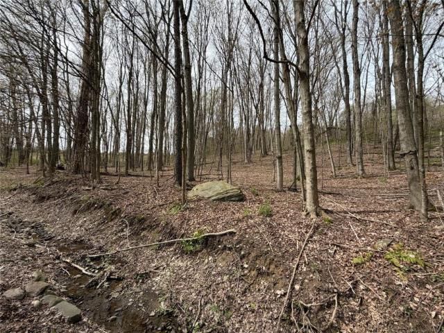 land Harpursville NY ES101688241