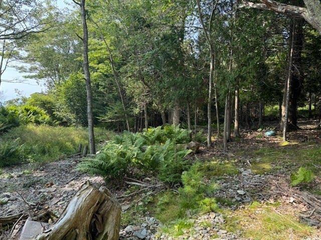 land Harpswell ME DLS103126931