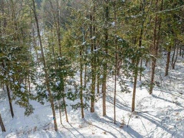 land Hartford VT DLS101630911