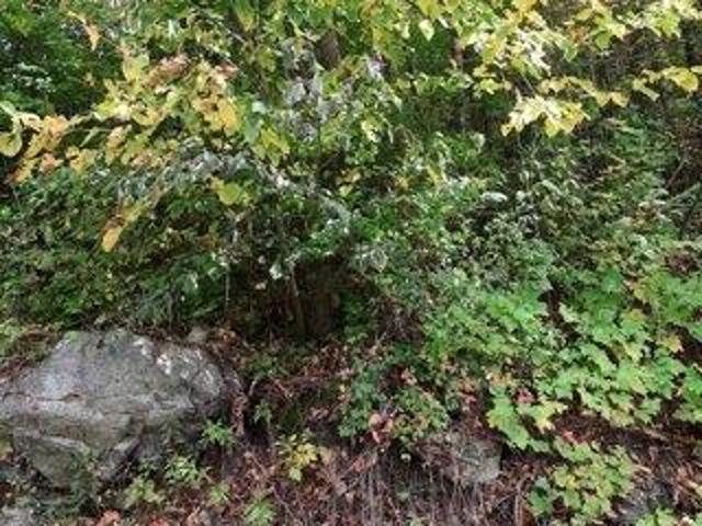 land Hartford VT DLS101749820