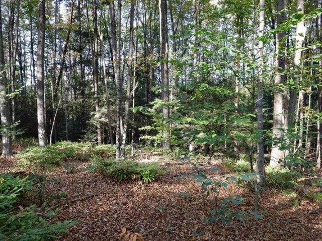 land Hartford VT DS102528388