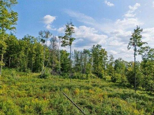 land Hartford VT DS102531389