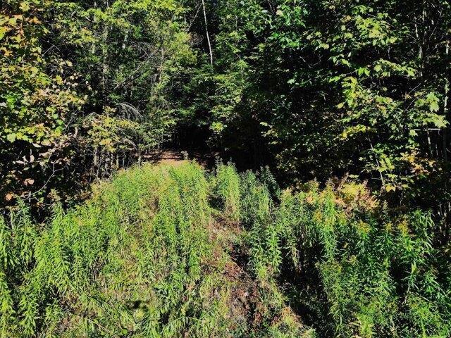 land Hartford VT ES104075131