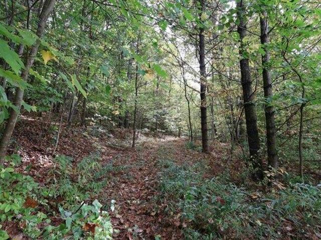 land Hartford VT ES104115168
