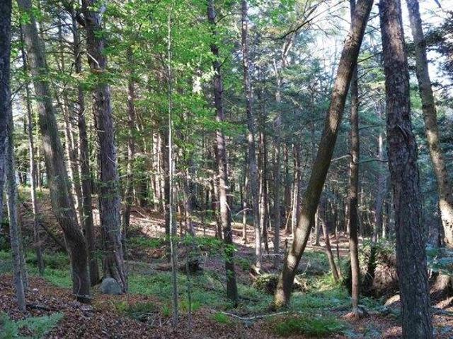 land Hartford VT ES104446102