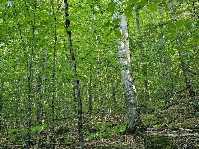 land Hartland ME ES105117219