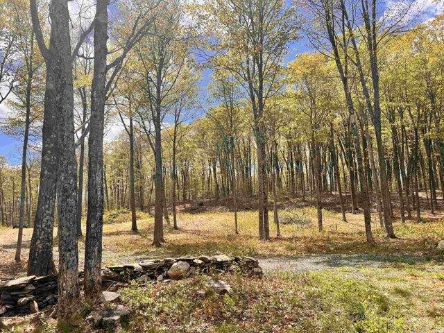 land Hartland VT DS103097474