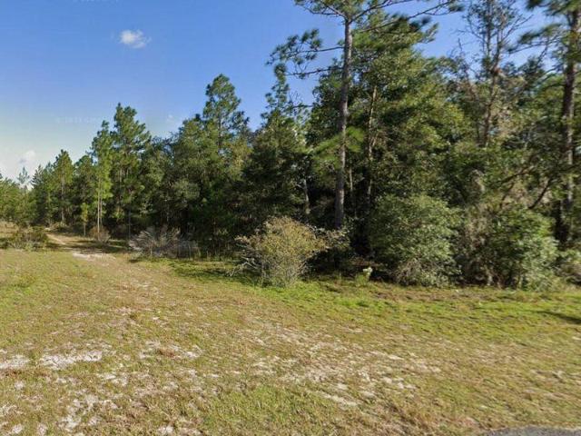 land Hawthorne FL DS101012155