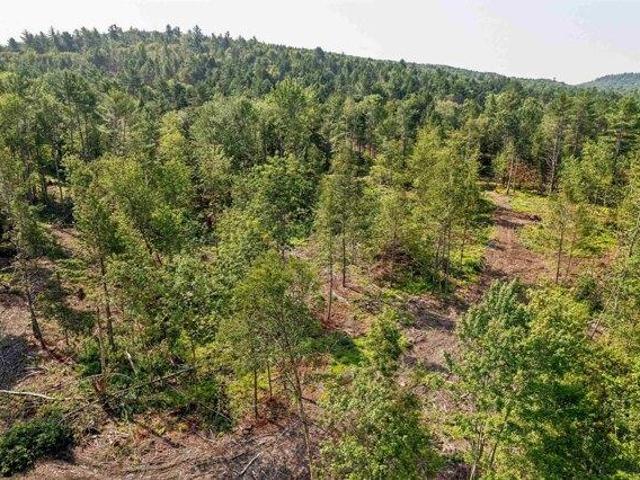 land Haverhill NH DLS102345258