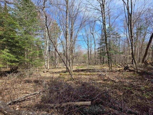 land Haverhill NH DS102061661