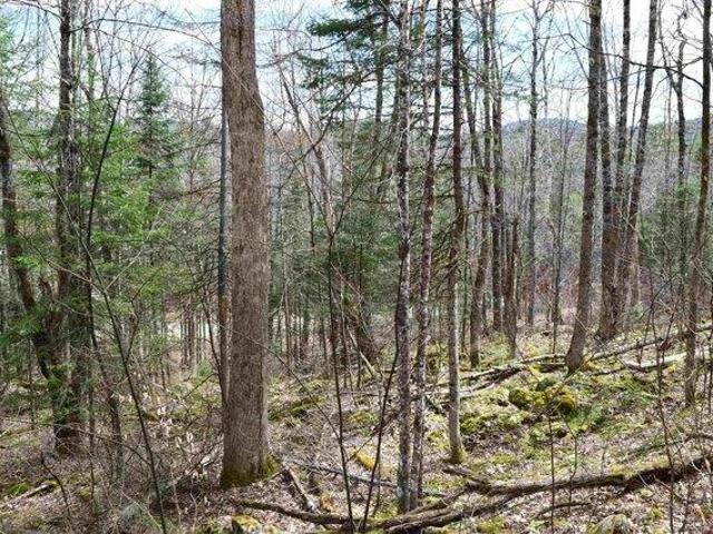 land Haverhill NH DS102257095