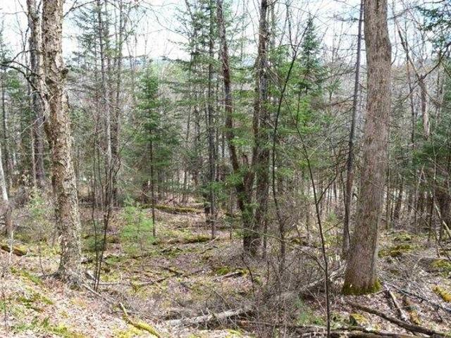 land Haverhill NH ES104808040