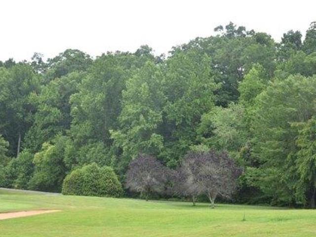 land Hayesville NC ES104901468