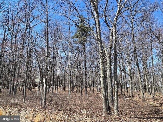 land Hazleton PA DLS91468930