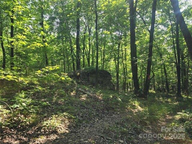 land Heath Springs SC DLS92247648