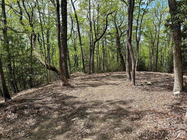 land Hendersonville NC ES104899604