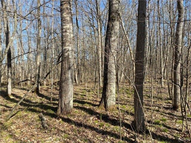 land Heuvelton NY DS103623987
