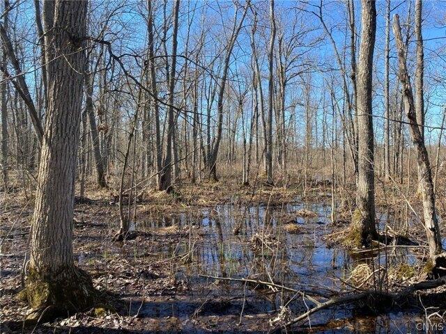 land Heuvelton NY ES103623987