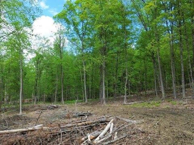 land Hinsdale NH DS103184522