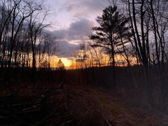 land Hiram ME DLS103037741
