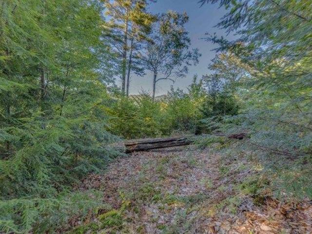 land Holderness NH ES105156770