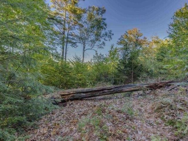 land Holderness NH ES105293221