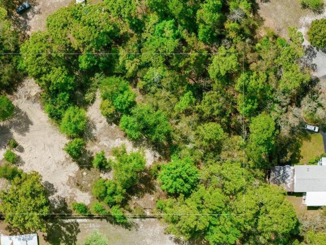 land Homosassa FL DS101011918