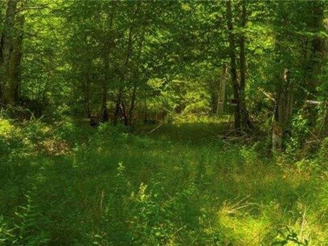 land Hopkinton RI DS103101313