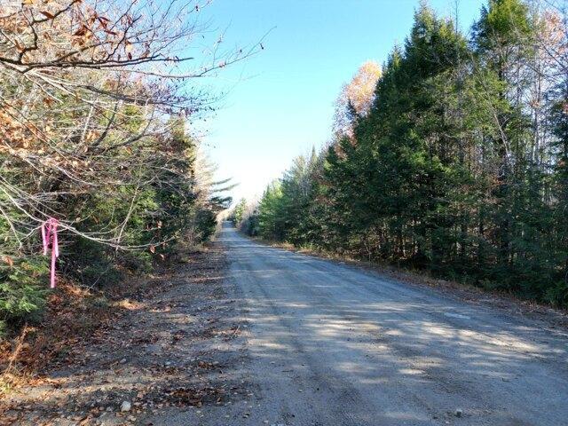land Howland ME DS101799856