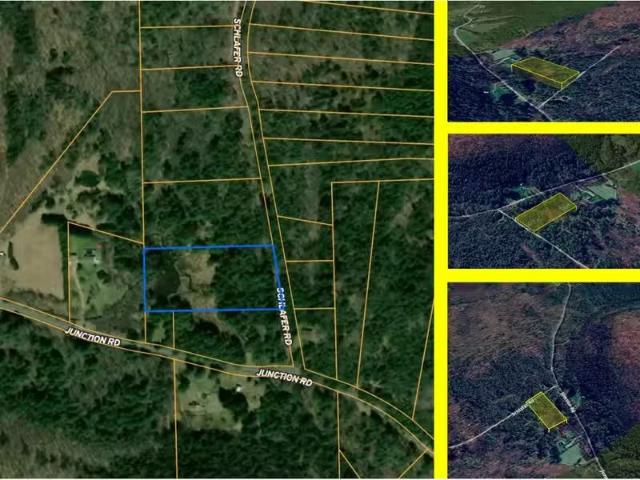 Land in Guilford, NY