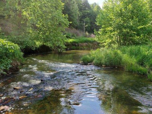 land Indian Valley VA DS91559520