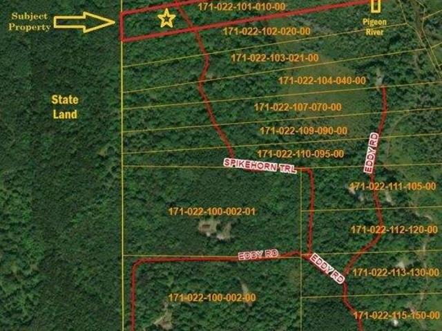 land Indian River MI DLS93017089