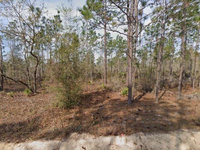 land Interlachen FL DS101012138