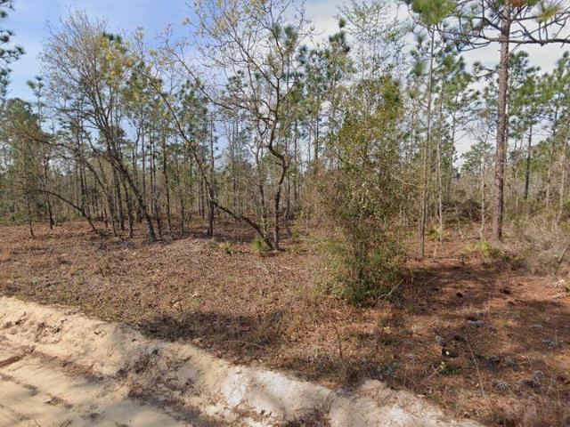 land Interlachen FL ES101012138