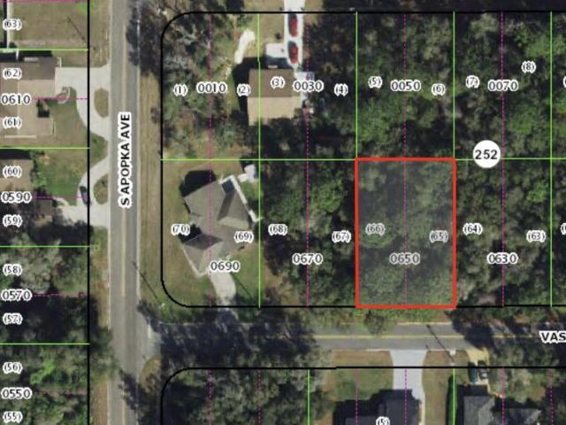land Inverness FL ES101012070