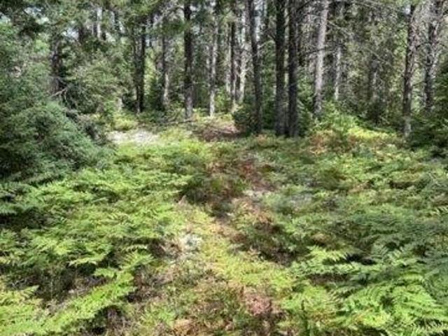 land Ishpeming MI DLS89851343